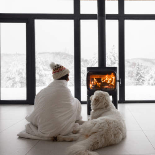 Winter Property Preparation